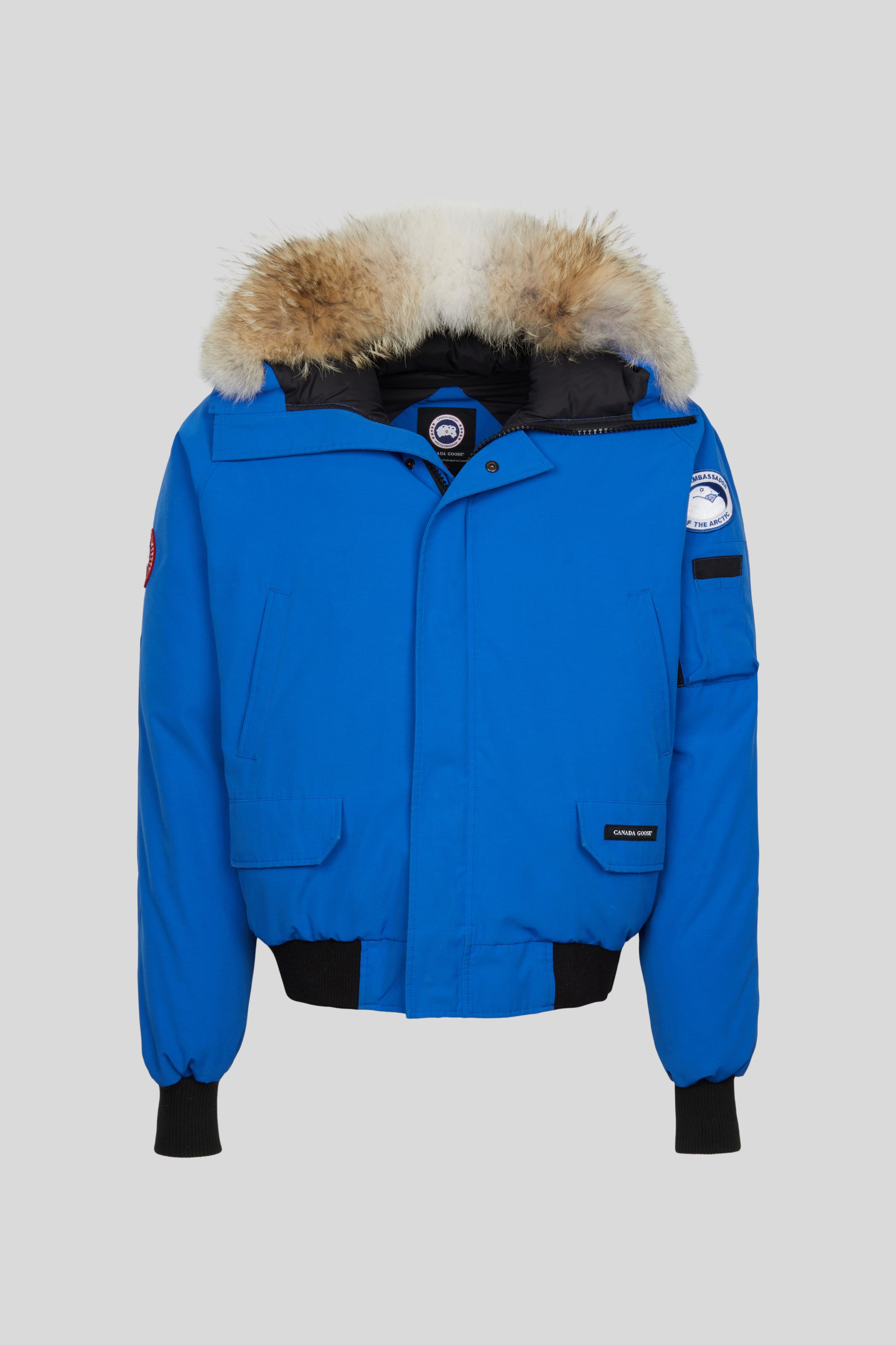 Used PBI Chilliwack Bomber for sale - Canada Goose Generations US